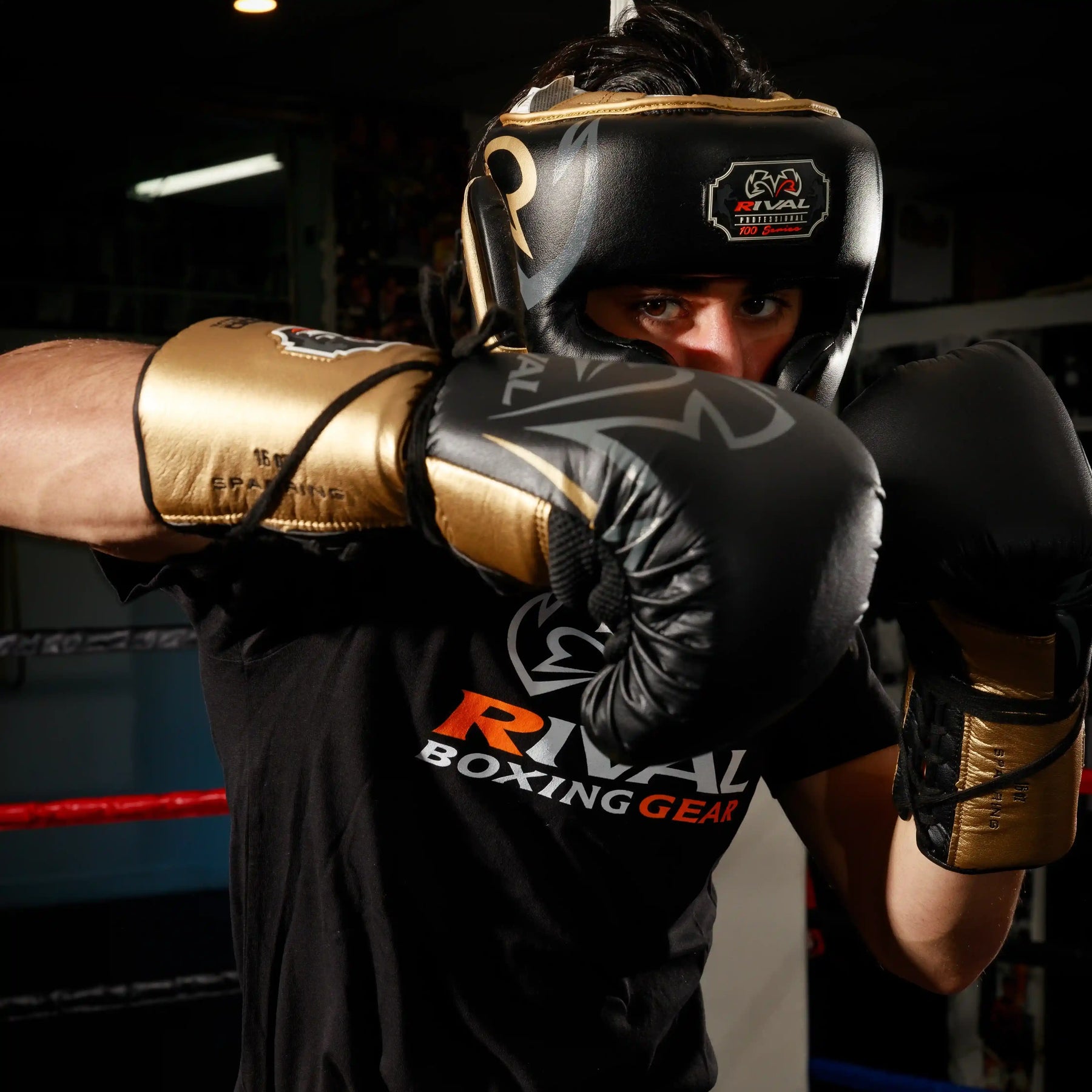 RS100 Professional Sparring Gloves – Rival Boxing Gear USA